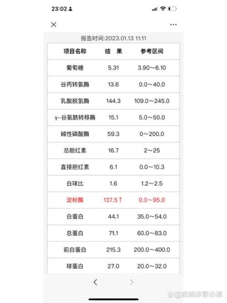 淀粉酶正常值是多少_淀粉酶偏高怎么办-第1张图片-山城妙识 淀粉酶正常值是多少_淀粉酶偏高怎么办-第1张图片-山城妙识