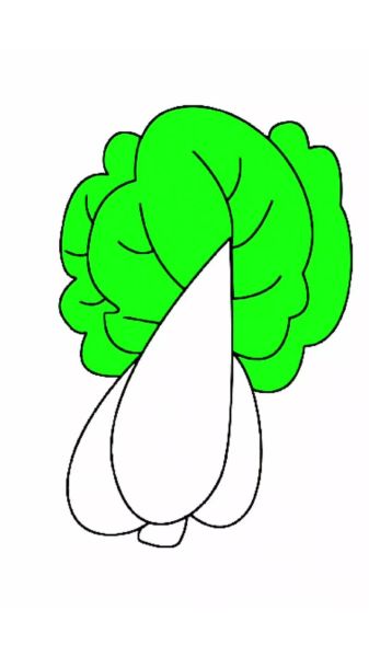 大白菜卡通图片怎么画_大白菜卡通图片素材哪里找-第1张图片-山城妙识 大白菜卡通图片怎么画_大白菜卡通图片素材哪里找-第1张图片-山城妙识