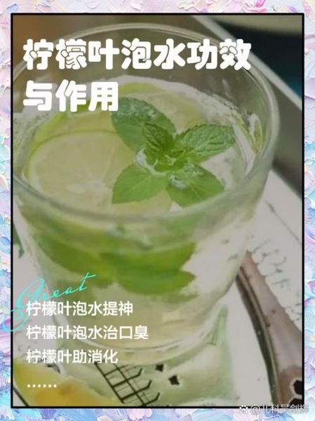 柠檬叶的功效与作用_柠檬叶怎么吃-第1张图片-山城妙识 柠檬叶的功效与作用_柠檬叶怎么吃-第1张图片-山城妙识