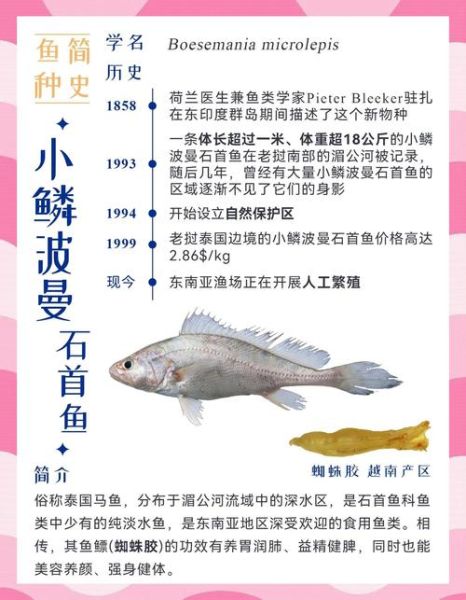 黄唇鱼鱼胶多少钱一斤_黄唇鱼鱼胶的功效与作用-第2张图片-山城妙识 黄唇鱼鱼胶多少钱一斤_黄唇鱼鱼胶的功效与作用-第2张图片-山城妙识