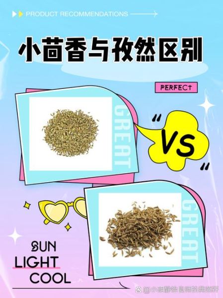 小茴香能代替孜然吗_味道差异有多大-第1张图片-山城妙识 小茴香能代替孜然吗_味道差异有多大-第1张图片-山城妙识