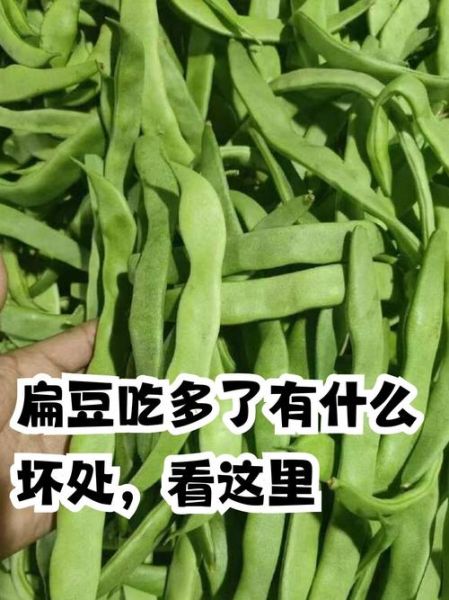 扁豆图片大全_扁豆品种识别图解-第1张图片-山城妙识