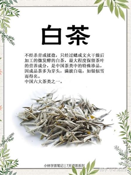 安吉白茶的功效与作用_适合什么人喝-第2张图片-山城妙识