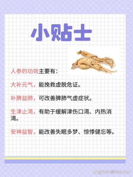 人参怎么吃效果最好_人参的正确吃法与禁忌-第3张图片-山城妙识