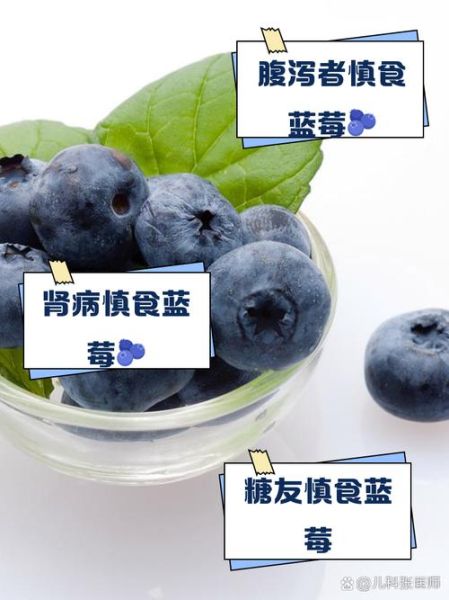 蓝莓不适宜人群有哪些_蓝莓哪些人不能吃-第2张图片-山城妙识