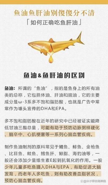 鱼油的功效与作用_鱼油怎么吃才有效-第1张图片-山城妙识