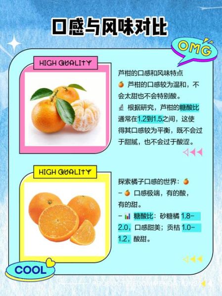 芦柑上火吗_芦柑和橘子的区别-第1张图片-山城妙识 芦柑上火吗_芦柑和橘子的区别-第1张图片-山城妙识