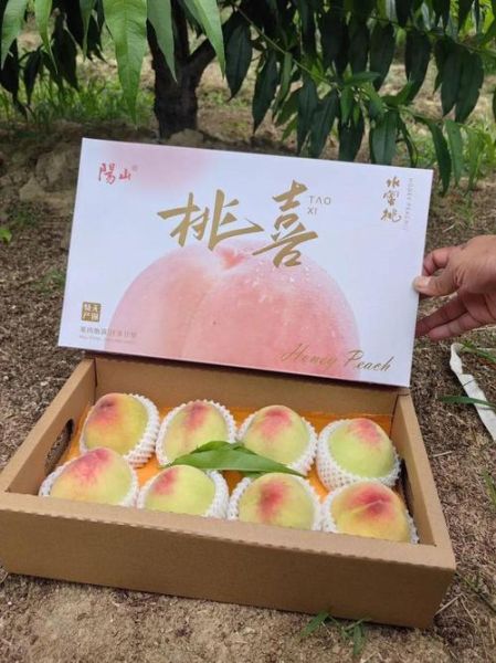 无锡水蜜桃多少钱一盒_一盒几个-第1张图片-山城妙识
