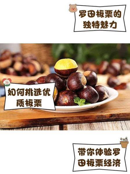 罗田板栗怎么挑选_罗田板栗多少钱一斤-第2张图片-山城妙识 罗田板栗怎么挑选_罗田板栗多少钱一斤-第2张图片-山城妙识