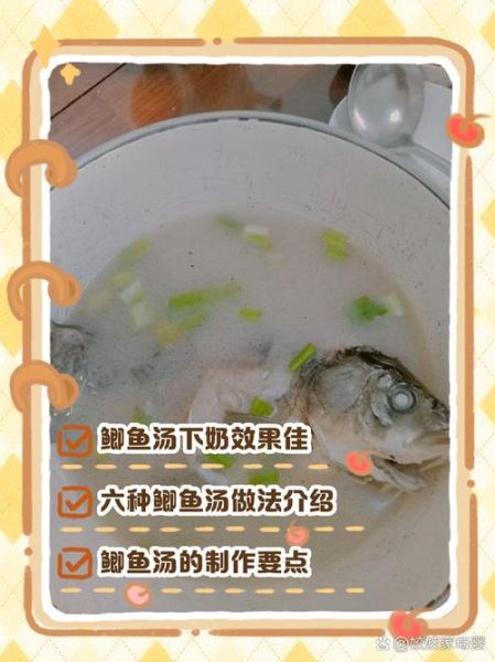 鲫鱼汤下奶怎么做_鲫鱼汤下奶做法步骤-第3张图片-山城妙识