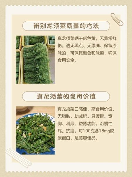 白色龙须菜是假的吗_如何辨别真假龙须菜-第1张图片-山城妙识 白色龙须菜是假的吗_如何辨别真假龙须菜-第1张图片-山城妙识