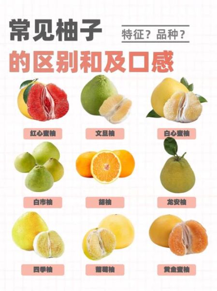 柚子降火吗_柚子有哪些功效与作用-第2张图片-山城妙识