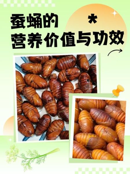蚕蛹的营养价值_蚕蛹适合什么人吃-第1张图片-山城妙识 蚕蛹的营养价值_蚕蛹适合什么人吃-第1张图片-山城妙识