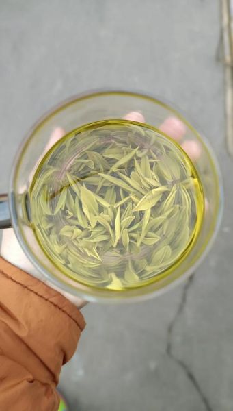 毛峰多少钱一斤_毛峰价格表2024-第1张图片-山城妙识 毛峰多少钱一斤_毛峰价格表2024-第1张图片-山城妙识