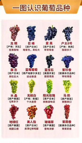 葡萄品种有哪些_18大葡萄品种区别-第2张图片-山城妙识