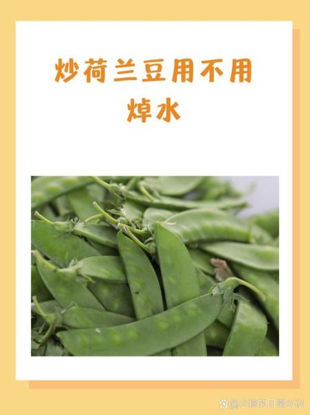 荷兰豆炒多久才熟_荷兰豆炒之前要焯水吗-第2张图片-山城妙识 荷兰豆炒多久才熟_荷兰豆炒之前要焯水吗-第2张图片-山城妙识
