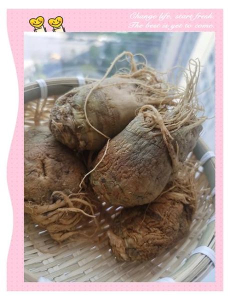 腌大头菜怎么做好吃_腌大头菜的做法窍门-第1张图片-山城妙识 腌大头菜怎么做好吃_腌大头菜的做法窍门-第1张图片-山城妙识