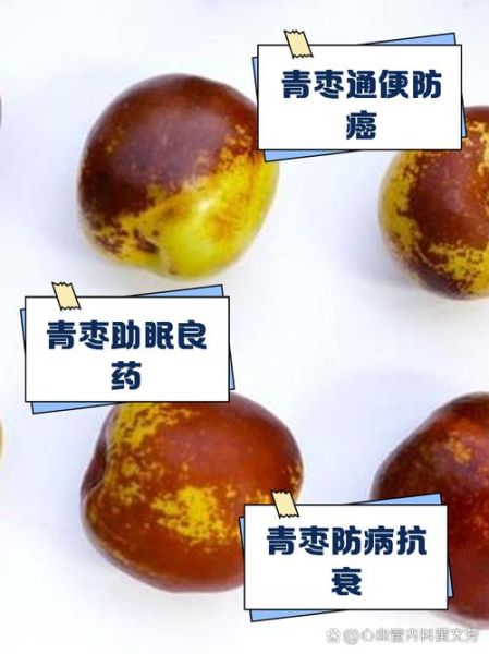 青枣的功效与作用有哪些_青枣怎么吃最好-第2张图片-山城妙识 青枣的功效与作用有哪些_青枣怎么吃最好-第2张图片-山城妙识