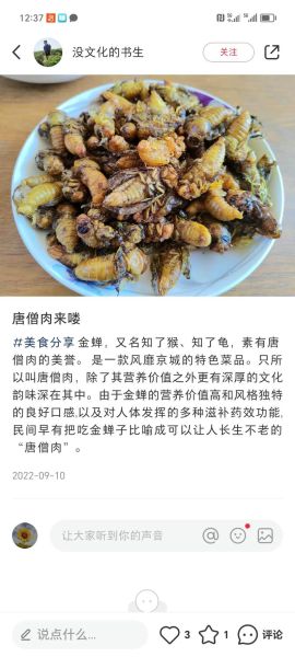 知了怎么吃_知了怎么吃才安全-第1张图片-山城妙识