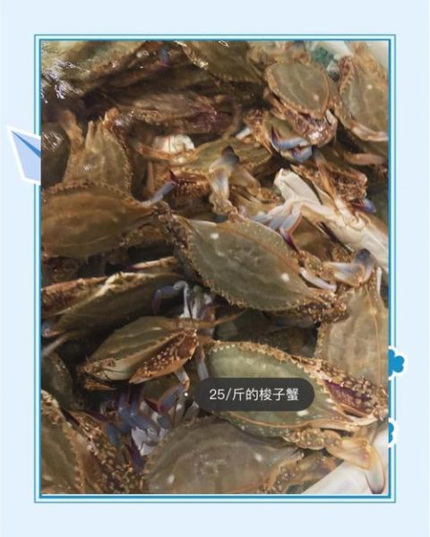 梭子蟹价格多少钱一只_梭子蟹多少钱一斤-第1张图片-山城妙识