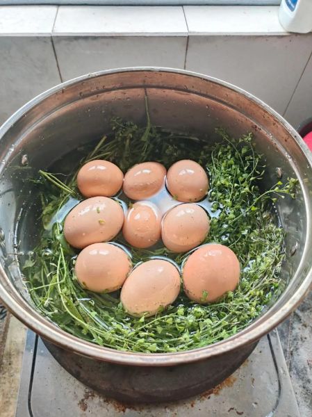 地米菜煮鸡蛋的做法_地米菜煮鸡蛋的功效-第3张图片-山城妙识 地米菜煮鸡蛋的做法_地米菜煮鸡蛋的功效-第3张图片-山城妙识