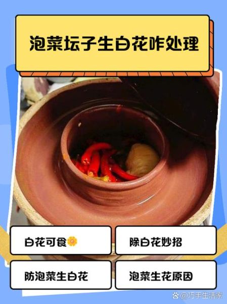 泡菜坛子起白花了还可以吃吗_坛子长白膜怎么办-第2张图片-山城妙识 泡菜坛子起白花了还可以吃吗_坛子长白膜怎么办-第2张图片-山城妙识