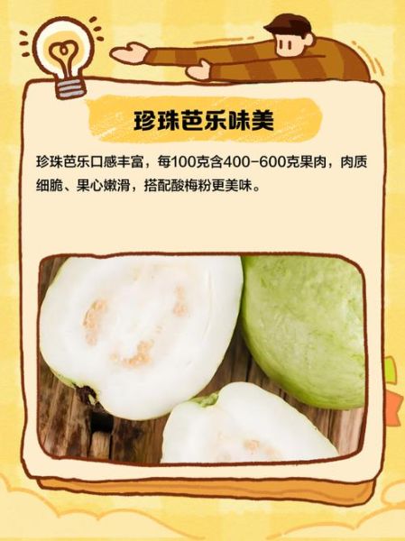 珍珠石榴的营养价值_珍珠石榴的功效与作用-第2张图片-山城妙识