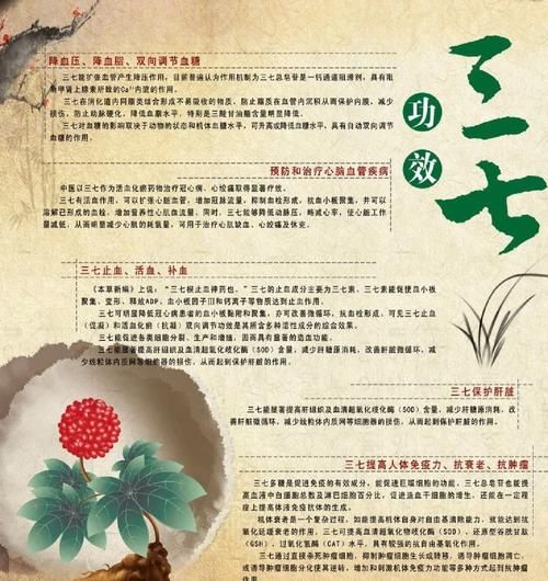 长期喝三七粉的好处和坏处_三七粉能长期吃吗-第1张图片-山城妙识 长期喝三七粉的好处和坏处_三七粉能长期吃吗-第1张图片-山城妙识