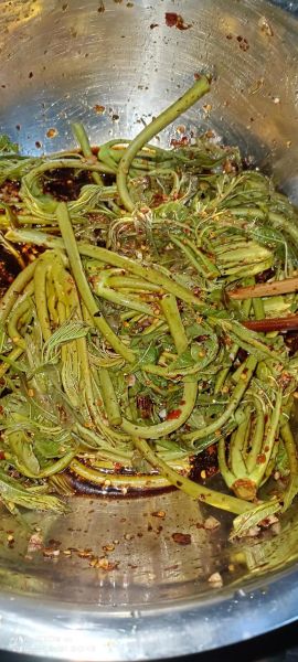 咸的香椿芽怎么做好吃_香椿芽腌制后能做什么菜-第2张图片-山城妙识