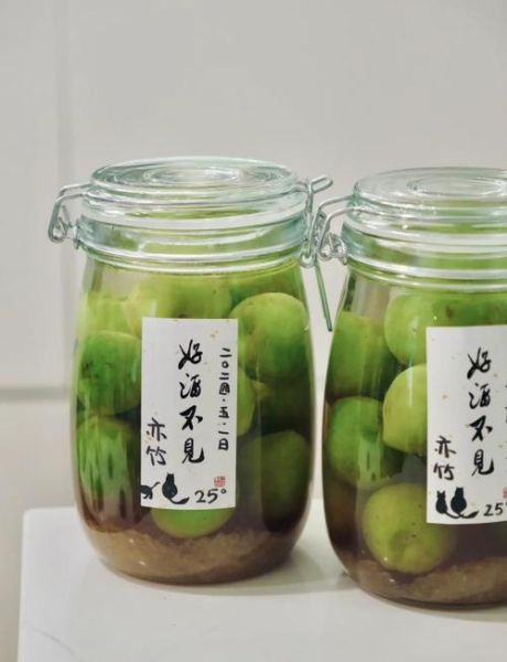 青梅酒的功效与禁忌_青梅酒适合什么人喝-第2张图片-山城妙识 青梅酒的功效与禁忌_青梅酒适合什么人喝-第2张图片-山城妙识