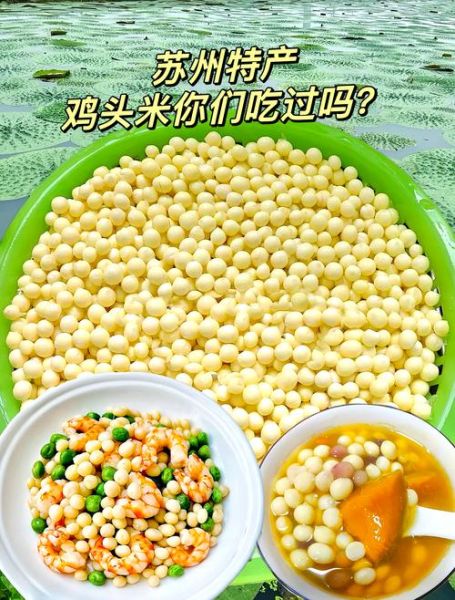 鸡头米怎么做好吃_鸡头米做法大全-第1张图片-山城妙识 鸡头米怎么做好吃_鸡头米做法大全-第1张图片-山城妙识