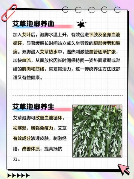 艾叶泡脚有什么好处_艾叶的作用与功效-第3张图片-山城妙识 艾叶泡脚有什么好处_艾叶的作用与功效-第3张图片-山城妙识