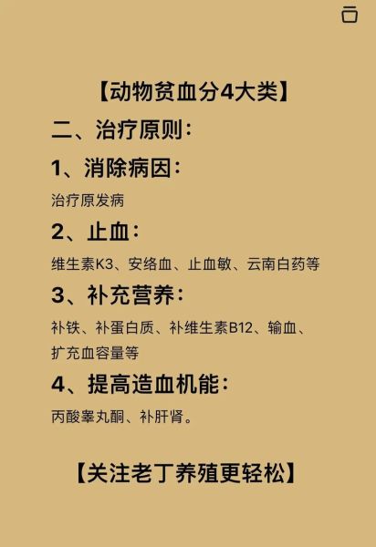 贫血是什么原因引起的_贫血常见于哪些疾病-第1张图片-山城妙识 贫血是什么原因引起的_贫血常见于哪些疾病-第1张图片-山城妙识