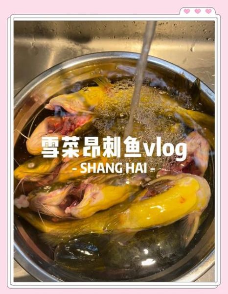 雪菜昂刺鱼怎么做_雪菜昂刺鱼的家常做法-第3张图片-山城妙识