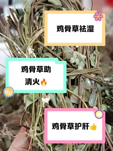 鸡骨草三种人不能吃_孕妇能吃吗-第3张图片-山城妙识