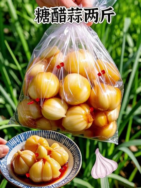 鲜蒜头怎么腌制_家常腌蒜配方-第1张图片-山城妙识