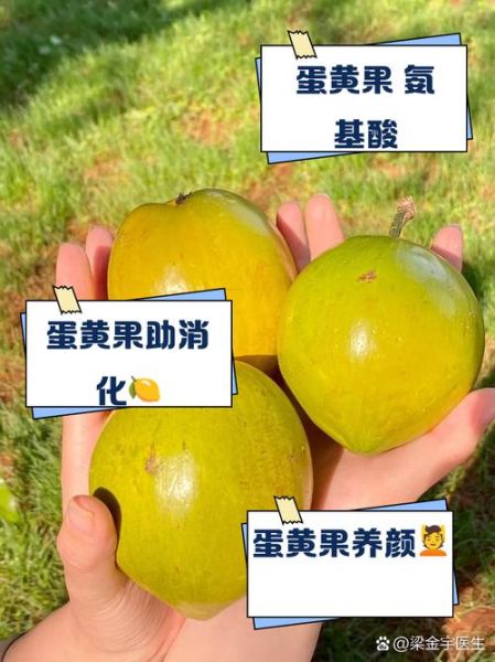 鸡蛋果的功效与作用_鸡蛋果怎么吃最好-第1张图片-山城妙识