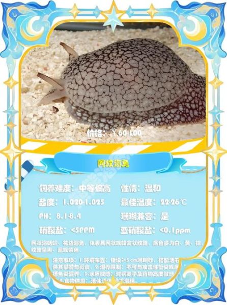 小海兔的营养价值_小海兔的功效与作用-第3张图片-山城妙识 小海兔的营养价值_小海兔的功效与作用-第3张图片-山城妙识