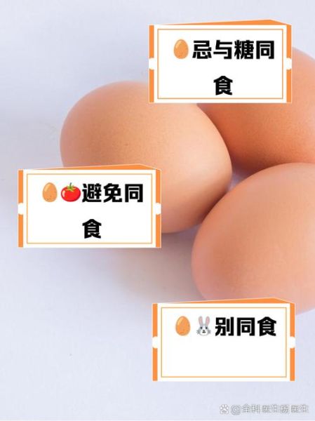 鸡蛋不能和什么一起吃吗_鸡蛋相克食物有哪些-第1张图片-山城妙识 鸡蛋不能和什么一起吃吗_鸡蛋相克食物有哪些-第1张图片-山城妙识