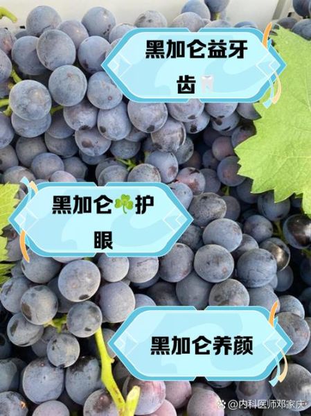 黑加仑葡萄图片_如何辨别真假黑加仑-第1张图片-山城妙识