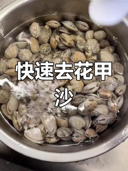 花甲死了怎么洗沙_花甲死沙清洗方法-第2张图片-山城妙识