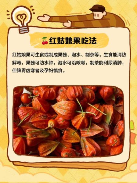 红姑娘果的功效与禁忌_孕妇能吃吗-第2张图片-山城妙识