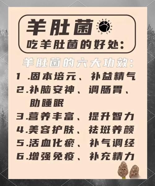 羊肚菌汤的做法_羊肚菌汤的功效与禁忌-第3张图片-山城妙识 羊肚菌汤的做法_羊肚菌汤的功效与禁忌-第3张图片-山城妙识