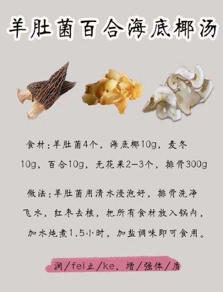 羊肚菌汤的做法_羊肚菌汤的功效与禁忌-第1张图片-山城妙识 羊肚菌汤的做法_羊肚菌汤的功效与禁忌-第1张图片-山城妙识