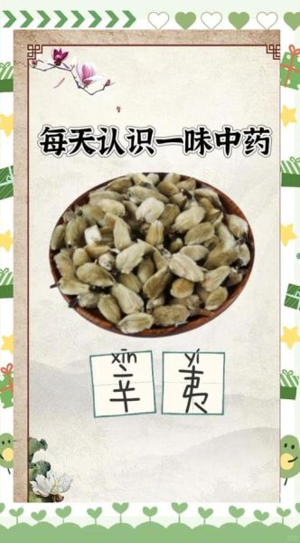 辛夷是什么中药_辛夷的功效与作用-第3张图片-山城妙识 辛夷是什么中药_辛夷的功效与作用-第3张图片-山城妙识