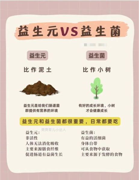 乳酸菌和益生菌有什么区别_哪个更好-第1张图片-山城妙识 乳酸菌和益生菌有什么区别_哪个更好-第1张图片-山城妙识