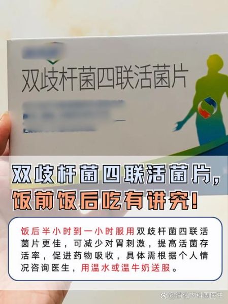 乳酸菌和益生菌有什么区别_哪个更好-第3张图片-山城妙识 乳酸菌和益生菌有什么区别_哪个更好-第3张图片-山城妙识