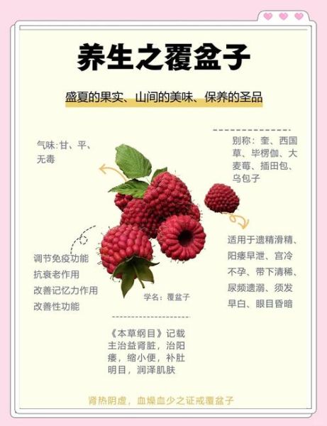 覆盆子酒怎么做_覆盆子酒的功效与作用-第3张图片-山城妙识