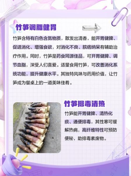 竹笋的功效与作用_竹笋吃多了有什么危害-第1张图片-山城妙识