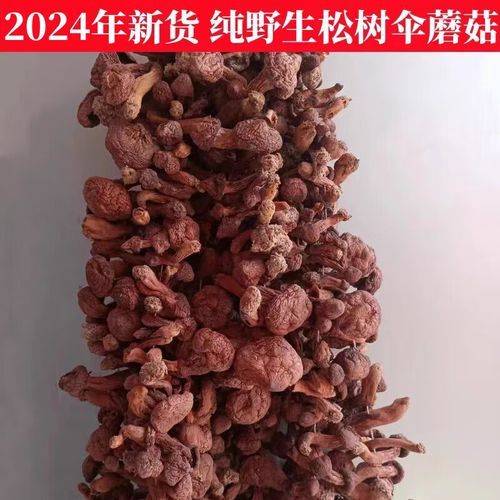红蘑多少钱一斤_红蘑价格行情-第2张图片-山城妙识 红蘑多少钱一斤_红蘑价格行情-第2张图片-山城妙识
